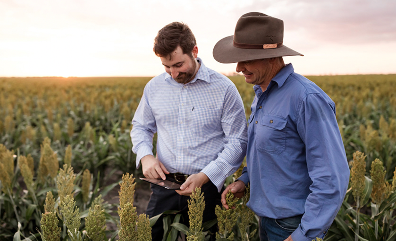 Agsupplies: Premium Agri-Products for USA, Australia & Global Markets ...